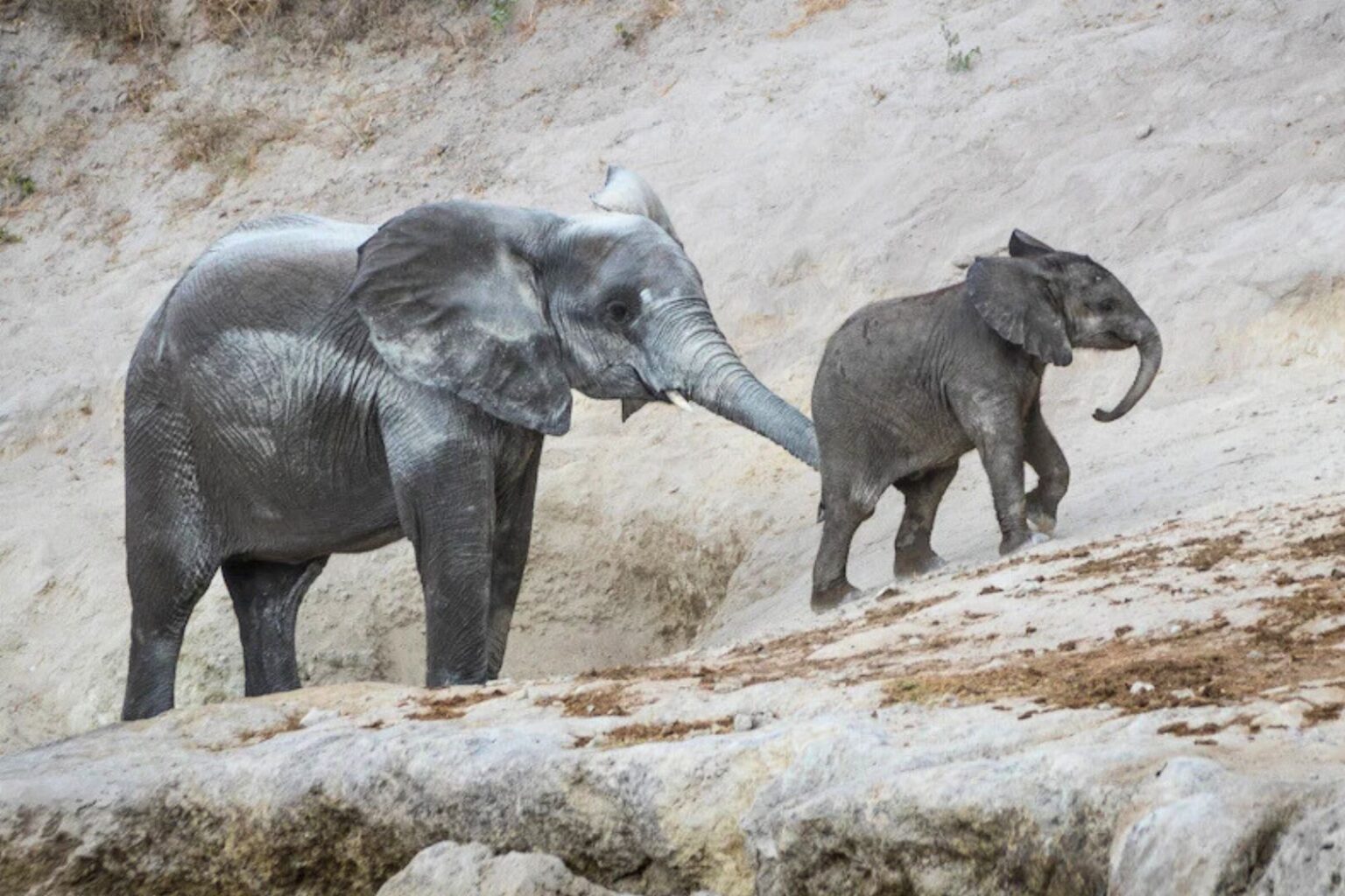 Why You, the Parent, Matter More Than You Think